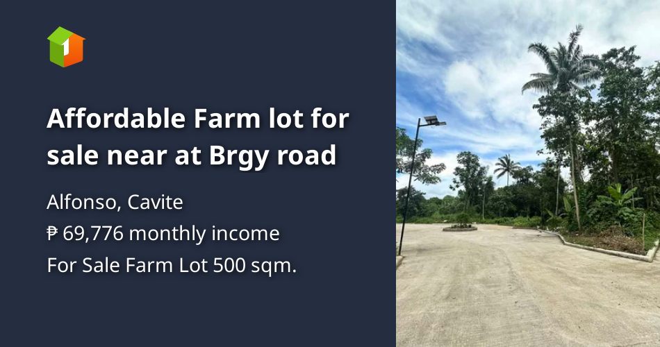 Affordable Farm lot for sale near at Brgy road [Lots 🚜] (March 2025) in ...