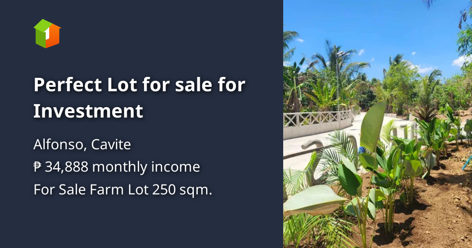 Perfect Lot for sale for Investment [Lots 🚜] (February 2026) in Alfonso ...