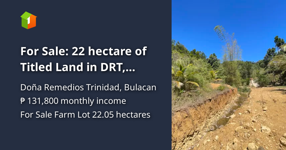 For Sale: 22,046 sqm of Titled Land in DRT, Bulacan Prime Spot for Eco ...