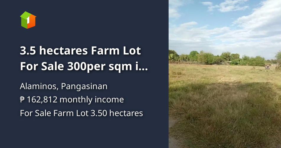 3.5 hectares Farm Lot For Sale 300per sqm in brgy. pandan alaminos ...
