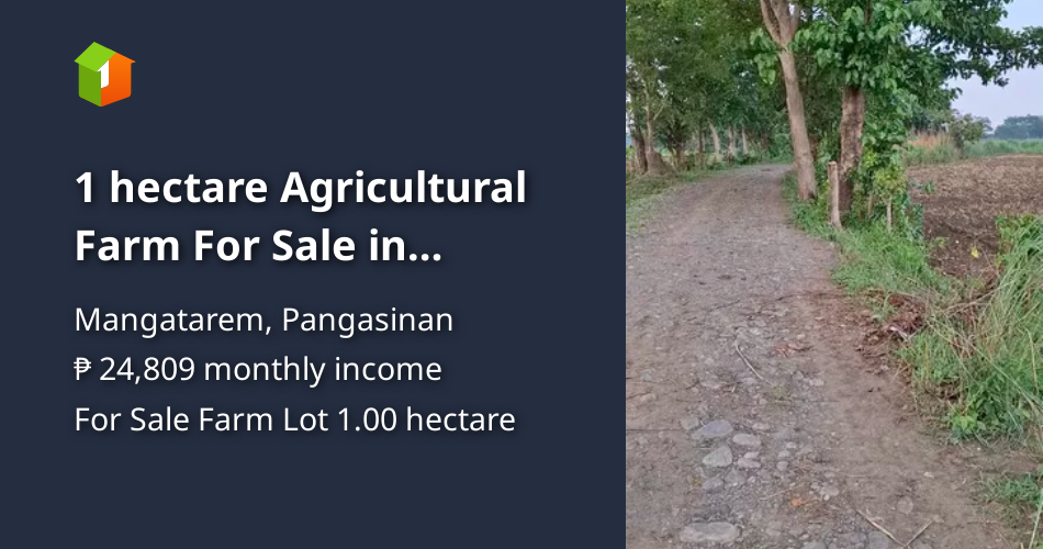 1 hectare Agricultural Farm For Sale in Mangatarem Pangasinan [Lots 🚜 ...