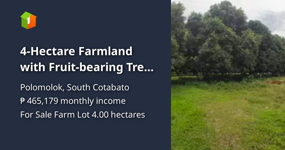 4-Hectare Farmland with Fruit-bearing Trees and River Access [Lots 🚜 ...