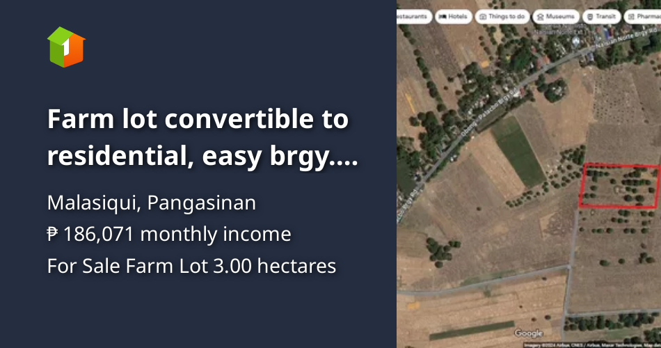 Farm lot convertible to residential, easy brgy. road access [Lots 🚜 ...