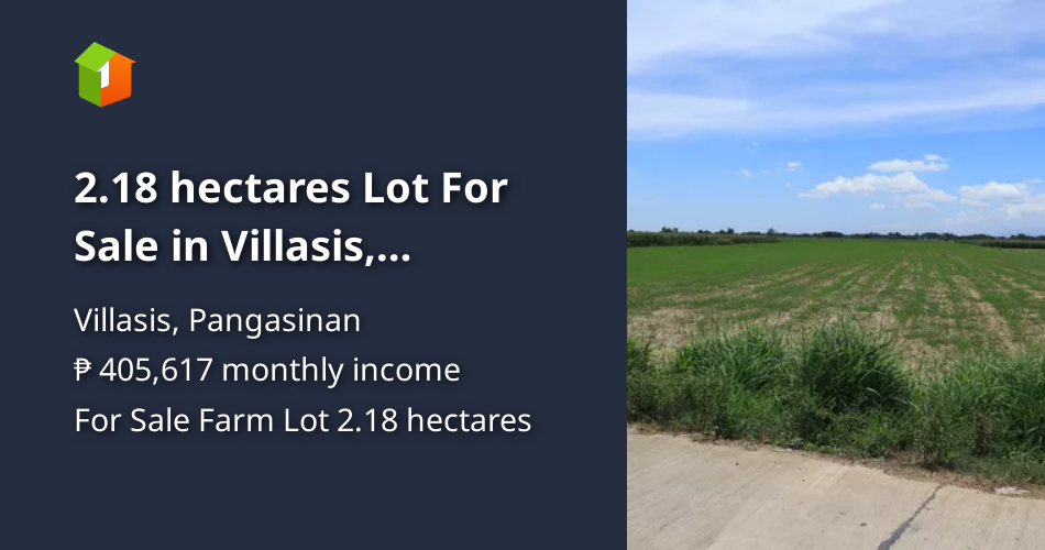 2.18 hectares Lot For Sale in Villasis, Pangasinan [Lots 🚜] (June 2024 ...