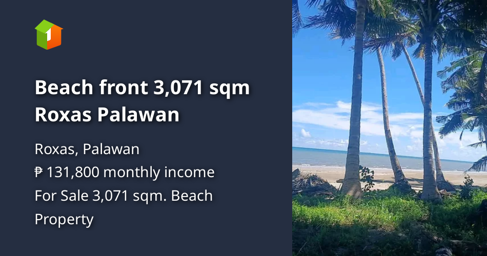 Beach front 3,071 sqm Roxas Palawan [Beach Properties 🏖️] (December ...
