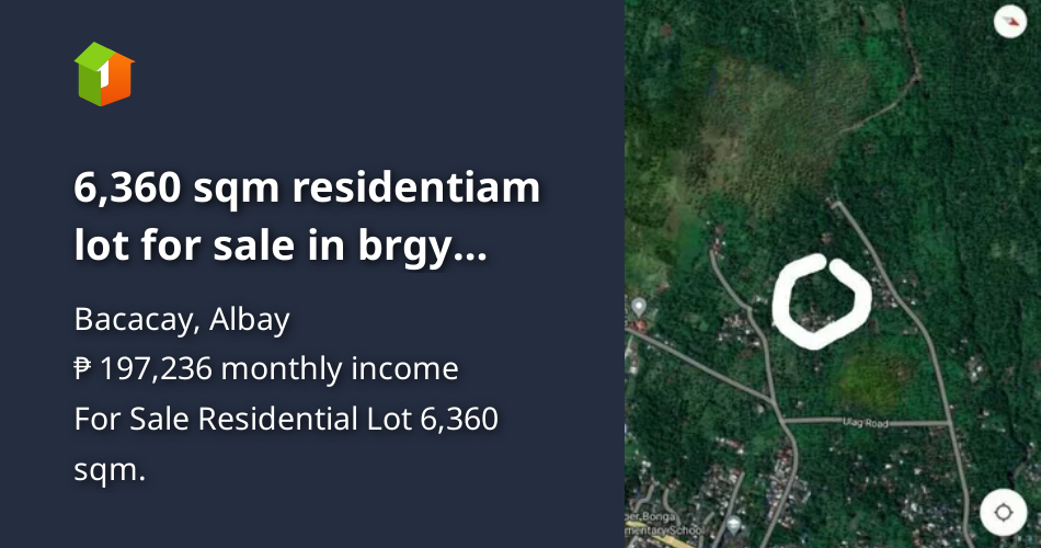 6,360 sqm residentiam lot for sale in brgy bonga, bacacay, albay [Lots ...