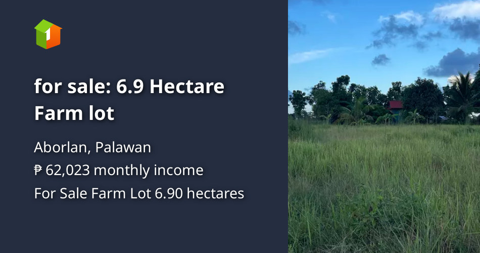 For sale: 6.9 Hectare Farm lot [Lots 🚜] (November 2025) in Aborlan ...