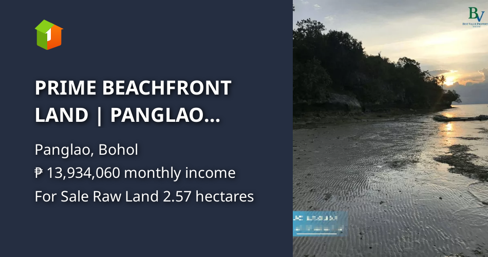 PRIME BEACHFRONT LAND | PANGLAO ISLAND, BOHOL [Lots 🚜] (January 2026 ...
