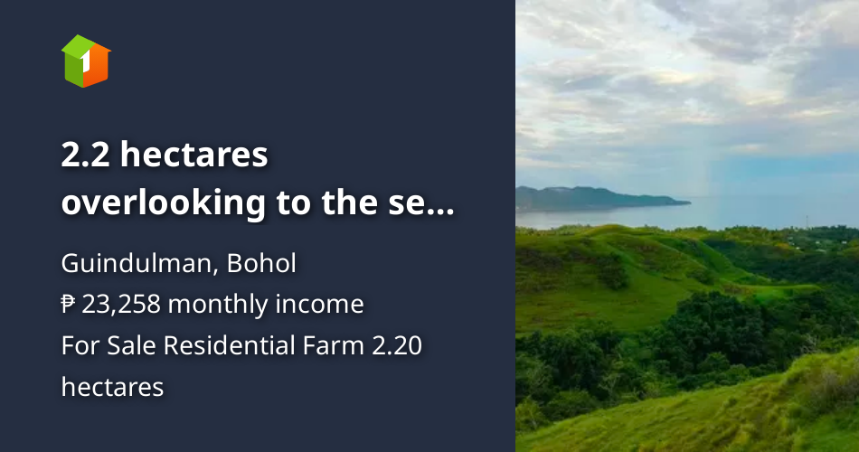 2.2 hectares overlooking to the sea Guindulman Bohol 1.5m net [Lots 🚜 ...