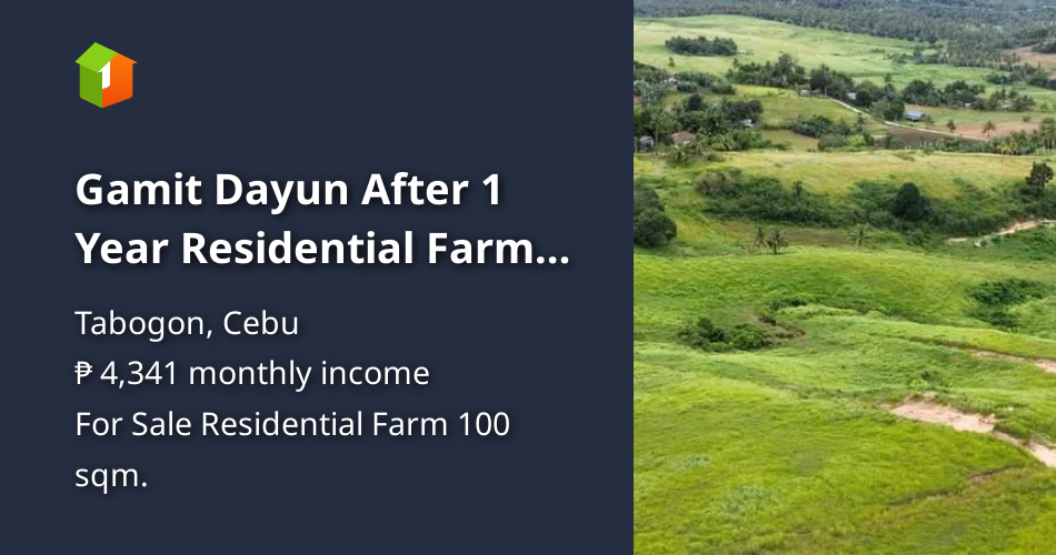 Gamit Dayun After 1 Year Residential Farm Lot in Tabogon Cebu [Lots 🚜 ...