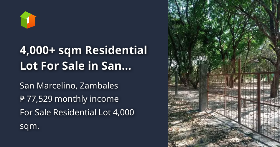 4,000+ sqm Residential Lot For Sale in San Marcelino Zambales [Lots 🚜 ...