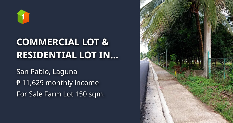COMMERCIAL LOT & RESIDENTIAL LOT IN SAN PABLO LAGUNA 5YRS TO PAY [Lots ...