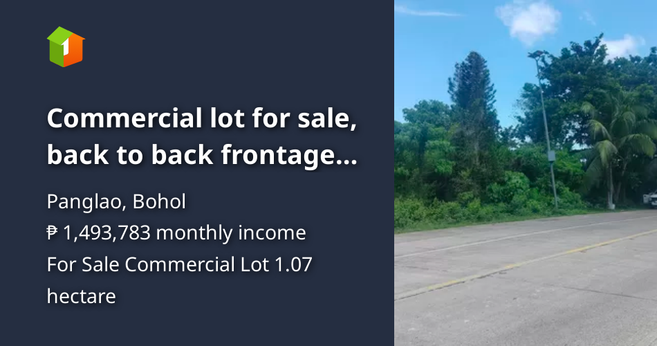 Commercial lot for sale, back to back frontage near Panglao airport ...