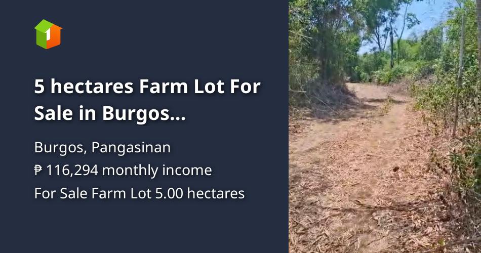 5 hectares Farm Lot For Sale in Burgos Pangasinan [Lots 🚜] (January ...