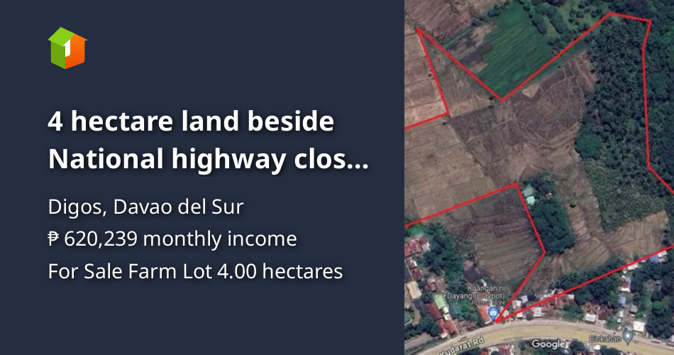 4 hectare land beside National highway close to Digos Capitol Matti ...