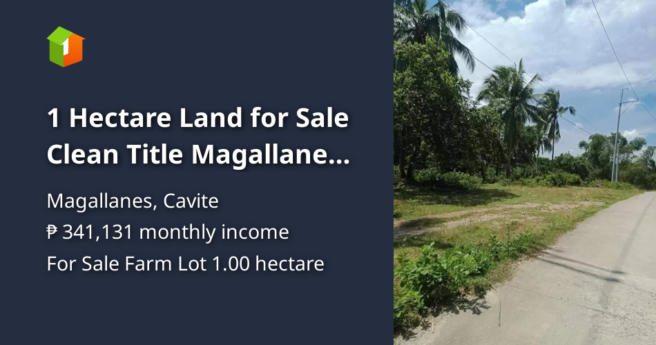 1 Hectare Land for Sale Clean Title Magallanes Cavite [Lots 🚜] (August ...