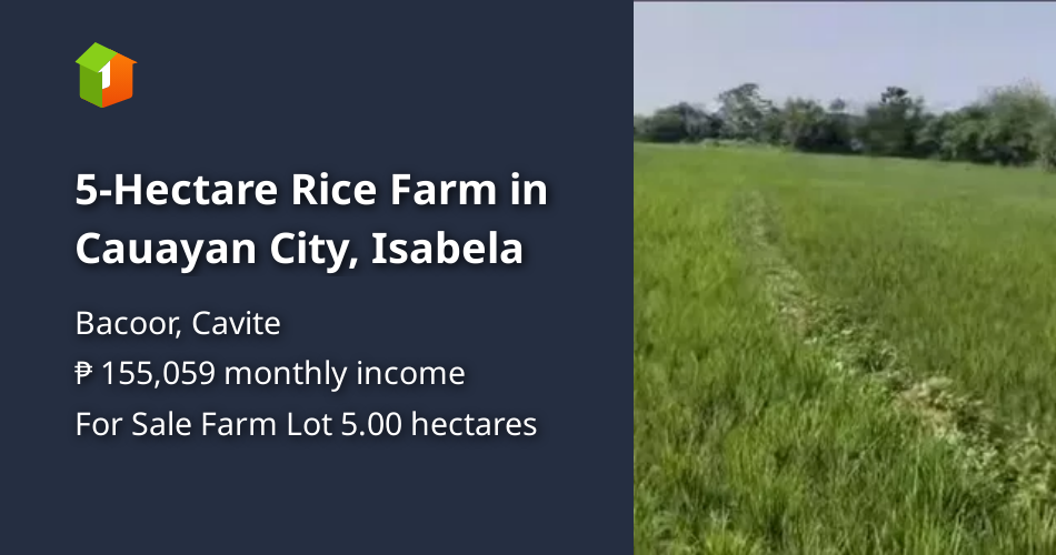 5-Hectare Rice Farm in Cauayan City, Isabela [Lots 🚜] (December 2025 ...
