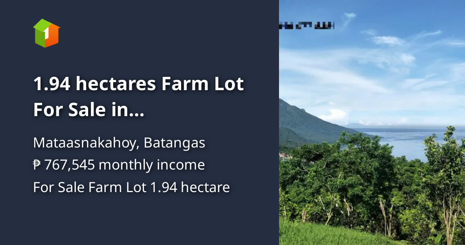 1.94 hectares Farm Lot For Sale in Mataasnakahoy Batangas [Lots 🚜 ...
