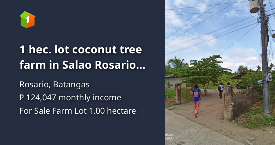 1 hec. lot coconut tree farm in Salao Rosario Batangas [Lots 🚜 ...