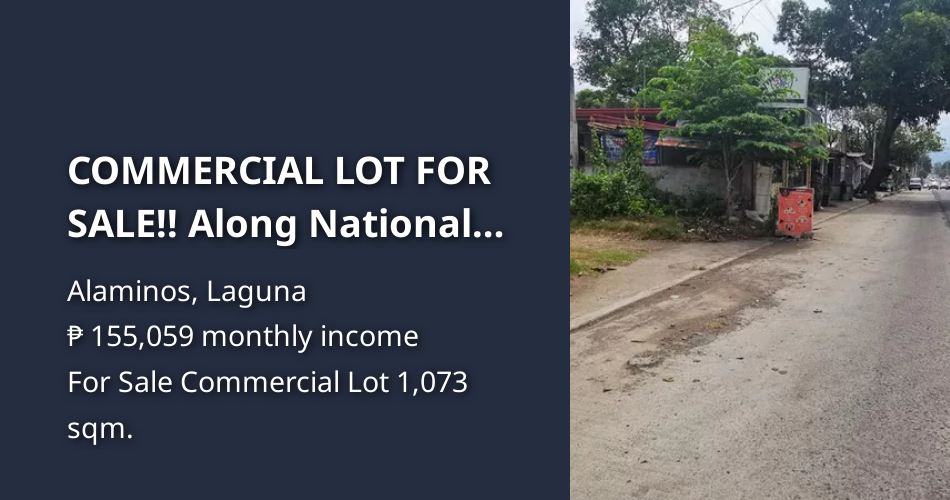 COMMERCIAL LOT FOR SALE!! Along National Highway [Lots 🚜] (June 2026 ...