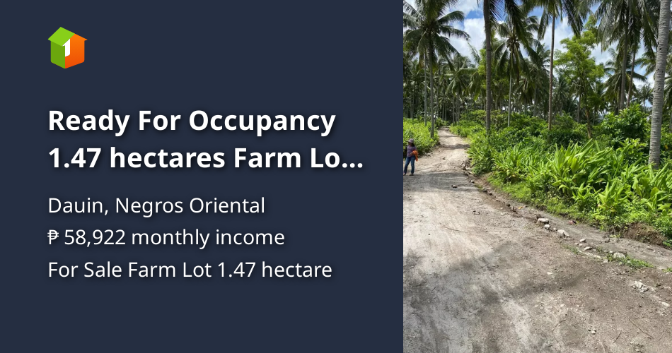 Ready For Occupancy 1.47 hectares Farm Lot For Sale [Lots 🚜] (January ...
