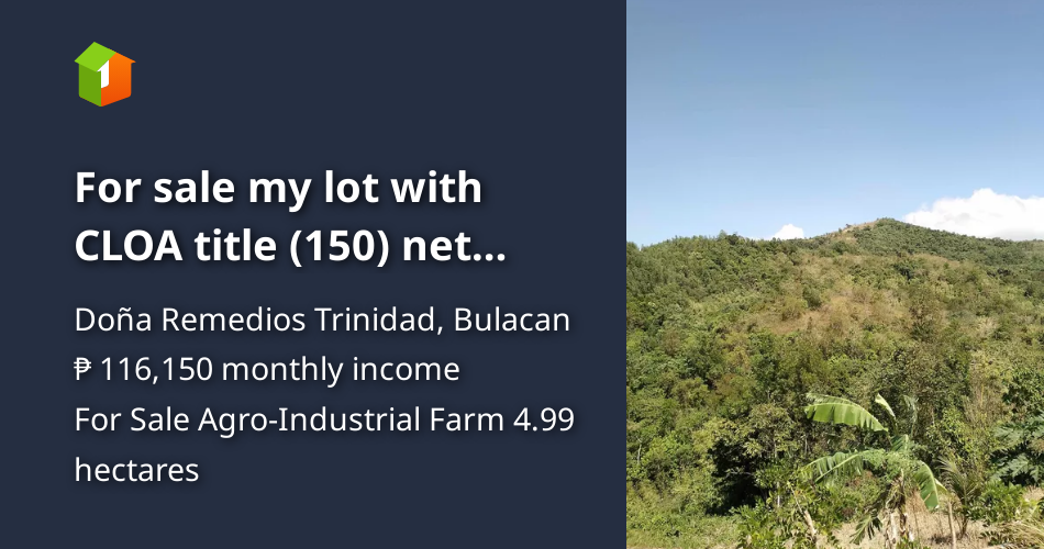 For sale my lot with CLOA title (150) net price [Lots 🚜] (March 2024 ...