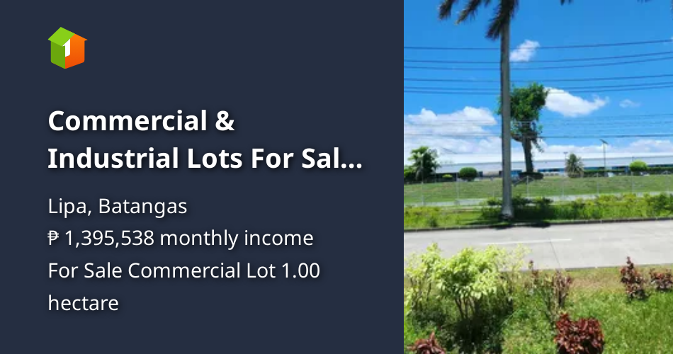 Commercial & Industrial Lots For Sale in Batangas City [Lots 🚜 ...