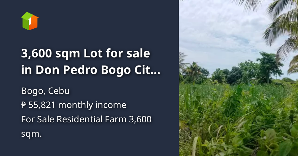 3,600 sqm Lot for sale in Don Pedro Bogo City Cebu 1k/sqm [Lots 🚜 ...