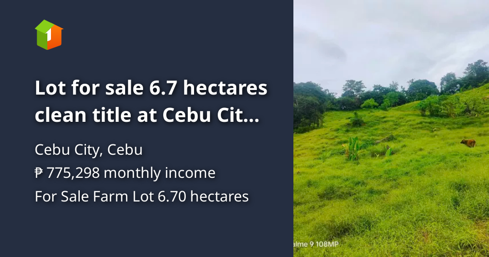 Lot for sale 6.7 hectares clean title at Cebu City Philippines 50m ...