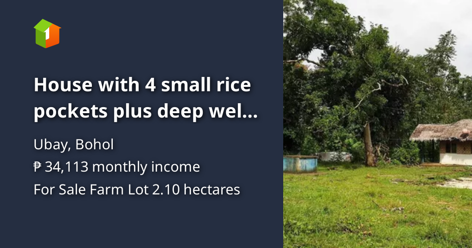House with 4 small rice pockets plus deep well and huge storage tank ...