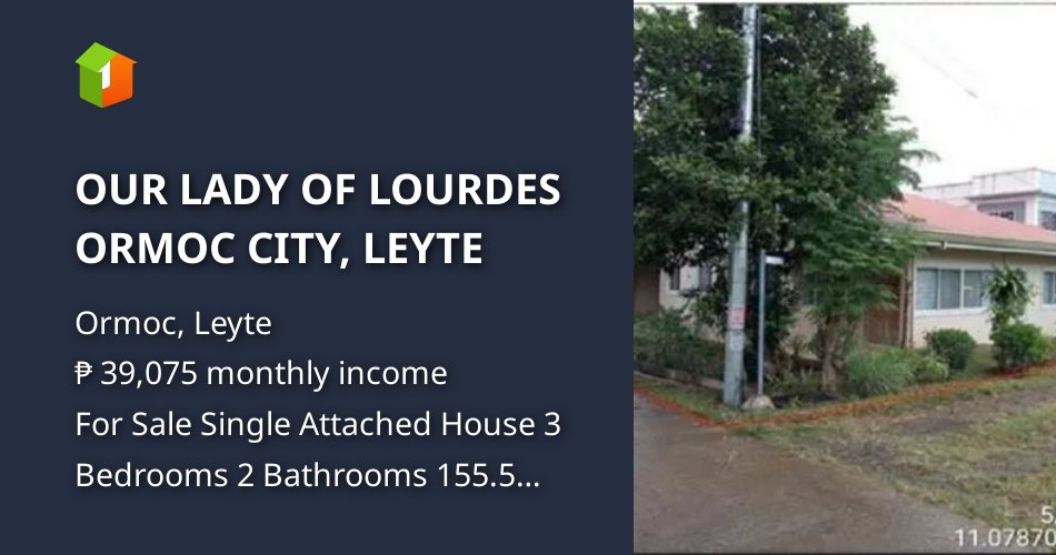 OUR LADY OF LOURDES ORMOC CITY, LEYTE [Houses and Lots 🏘️] (August 2023) in Ormoc, Leyte for sale