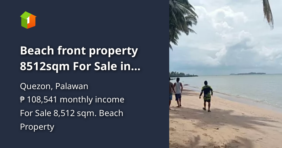Beach front property 8512sqm For Sale in Quezon Palawan Facing Double ...