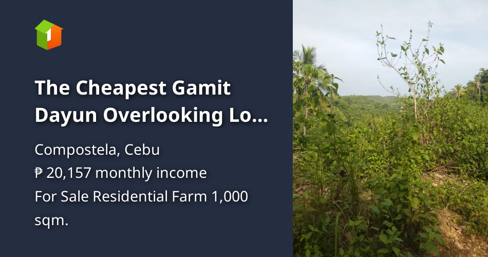The Cheapest Gamit Dayun Overlooking Lot in Compostela Cebu [Lots 🚜 ...
