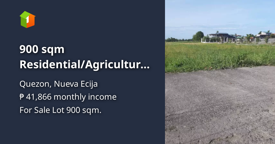 900 sqm Residential/Agricultural Lot for Sale in Quezon Nueva Ecija ...