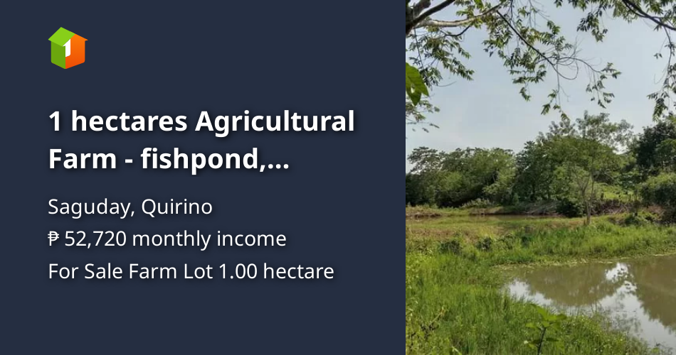 1 hectares Agricultural Farm - fishpond, concrete house and piggery ...
