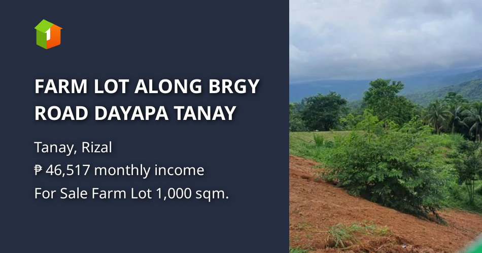 FARM LOT ALONG BRGY ROAD DAYAPA TANAY [Lots 🚜] (April 2025) in Tanay ...
