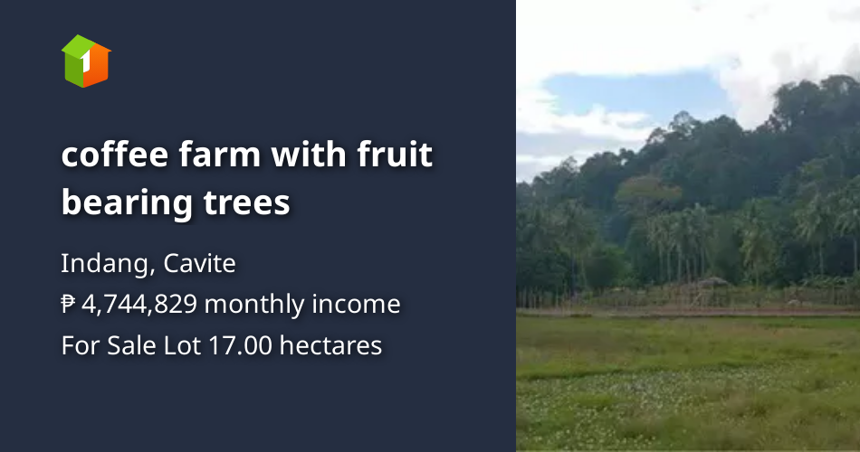 Coffee farm with fruit bearing trees [Lots 🚜] (December 2025) in Indang ...