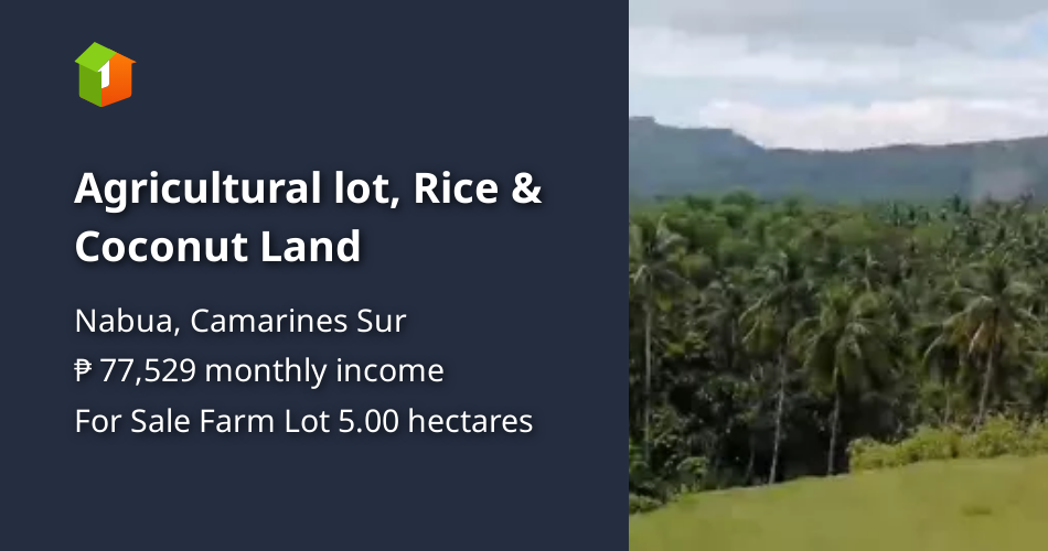 Agricultural lot, Rice & Coconut Land [Lots 🚜] (November 2025) in Nabua ...
