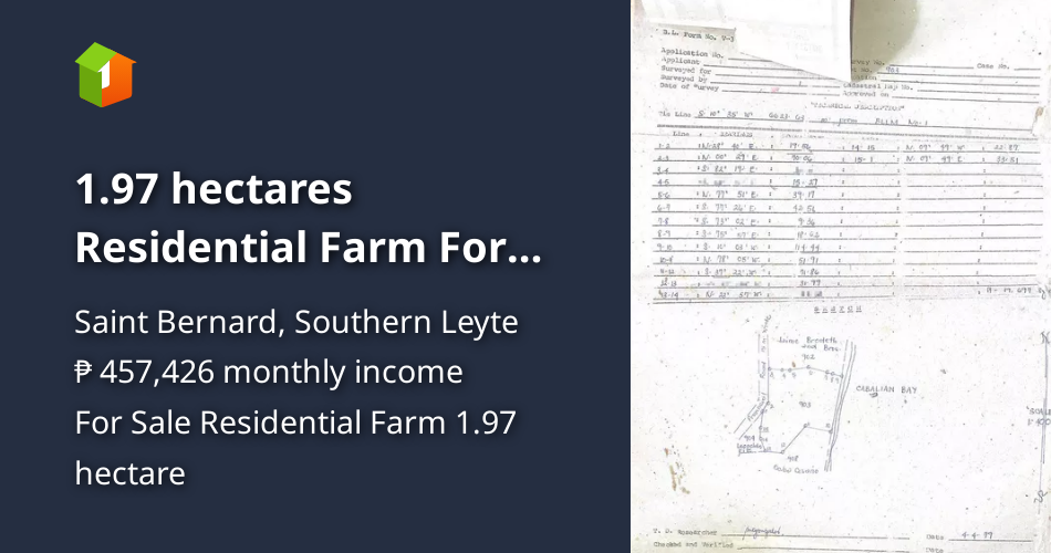1.97 hectares Residential Farm For Sale in Saint Bernard Southern Leyte ...