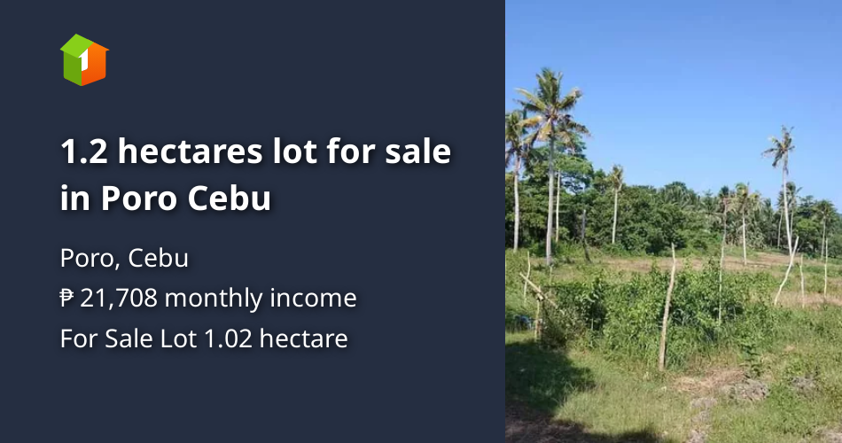 1.2 hectares lot for sale in Poro Cebu [Lots 🚜] (March 2024) in Poro ...