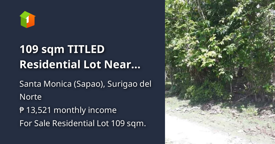 109 sqm TITLED Residential Lot Near the Beach For Sale SIARGAO [Lots 🚜 ...