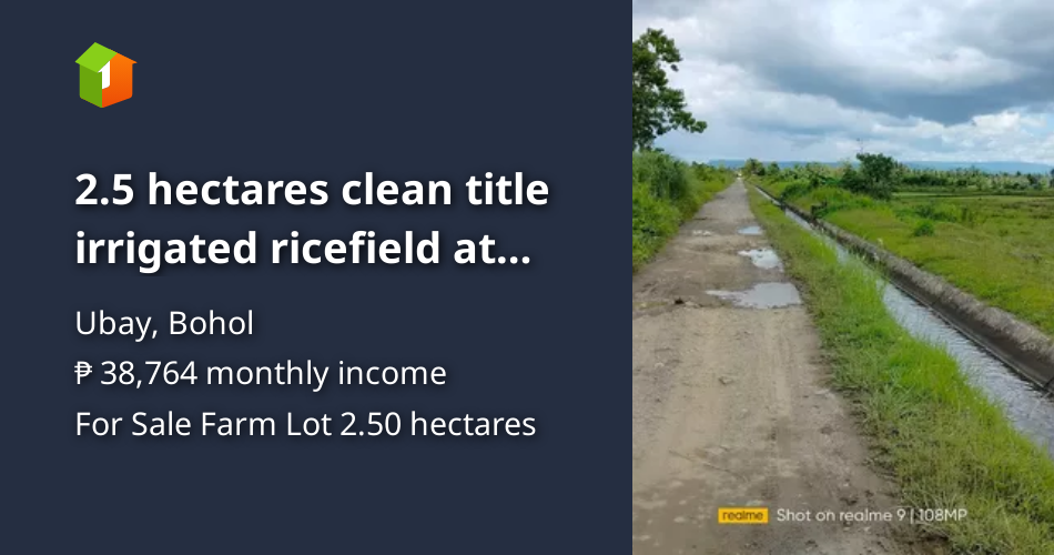 2.5 hectares clean title irrigated ricefield at Ubay Bohol 100/sqm ...