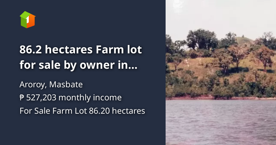 86.2 hectares Farm lot for sale by owner in Obo Aroroy, Masbate [Lots 🚜 ...