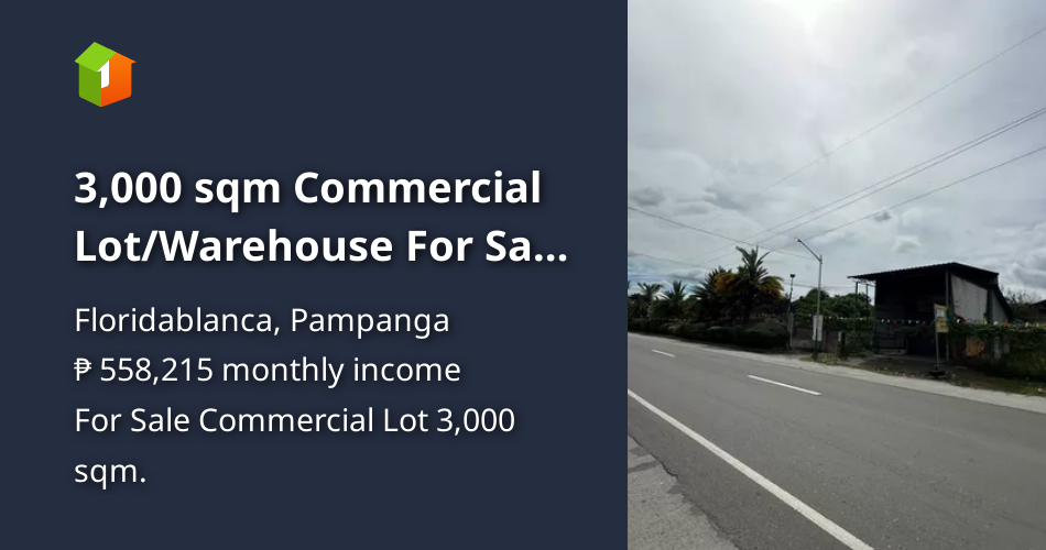 3,000 sqm Commercial Lot/Warehouse For Sale in Floridablanca Pampanga ...