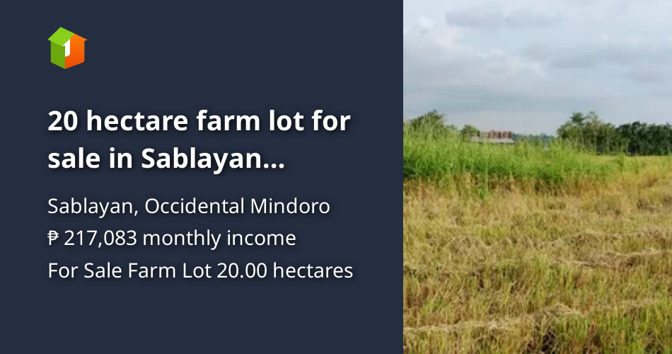 20 hectare farm lot for sale in Sablayan Occidental Mindoro [Lots 🚜 ...