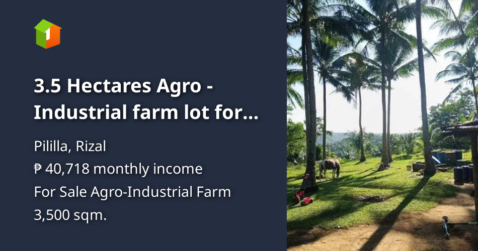 3.5 Hectares Agro - Industrial farm lot for sale in pililla rizal with clean title complete ...