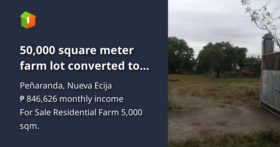 50,000 square meter farm lot converted to residential already. [Lots 🚜 ...
