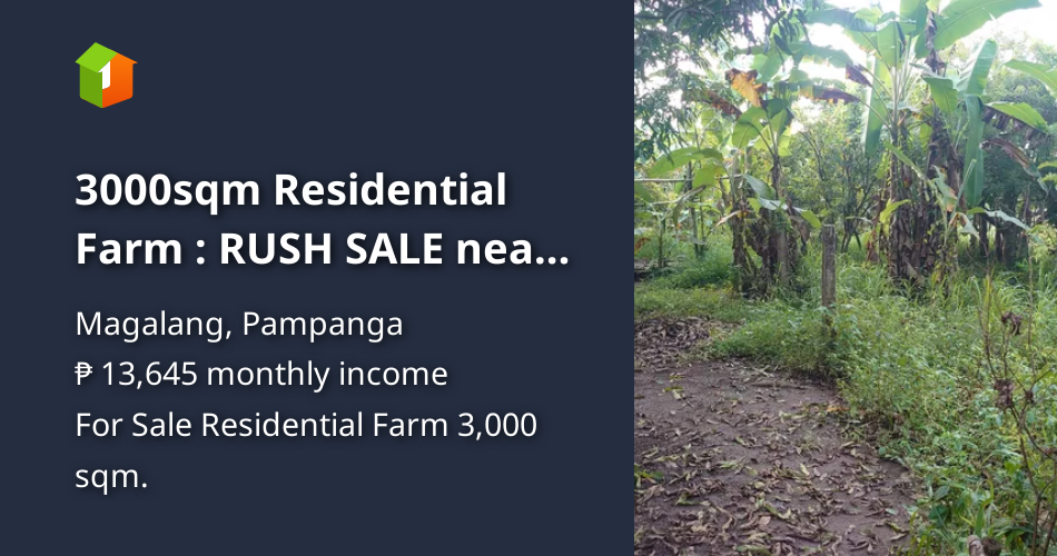 3000sqm Residential Farm : RUSH SALE near school or Farm Resort. [Lots ...