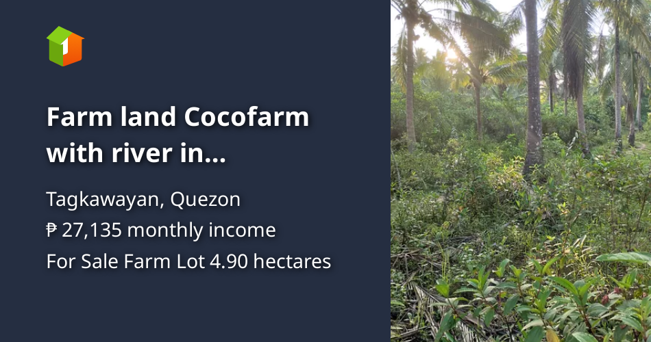 Farm land Cocofarm with river in Tagkawayan Quezon near Bicol [Lots 🚜] (March 2025) in ...