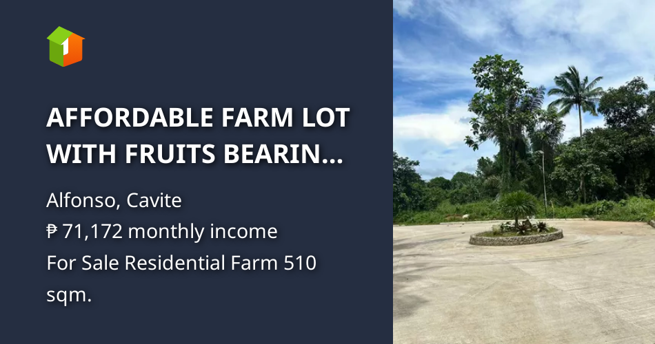 AFFORDABLE FARM LOT WITH FRUITS BEARING AND COLD WEATHER [Lots 🚜 ...